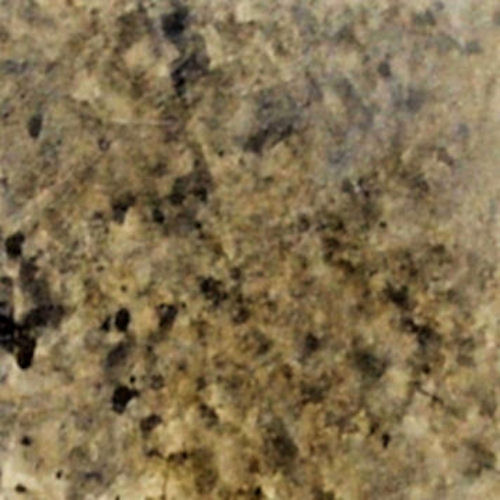 Walt Tools Tru Tint 1 gal Water Based Stain | Vieira Concrete Supplies